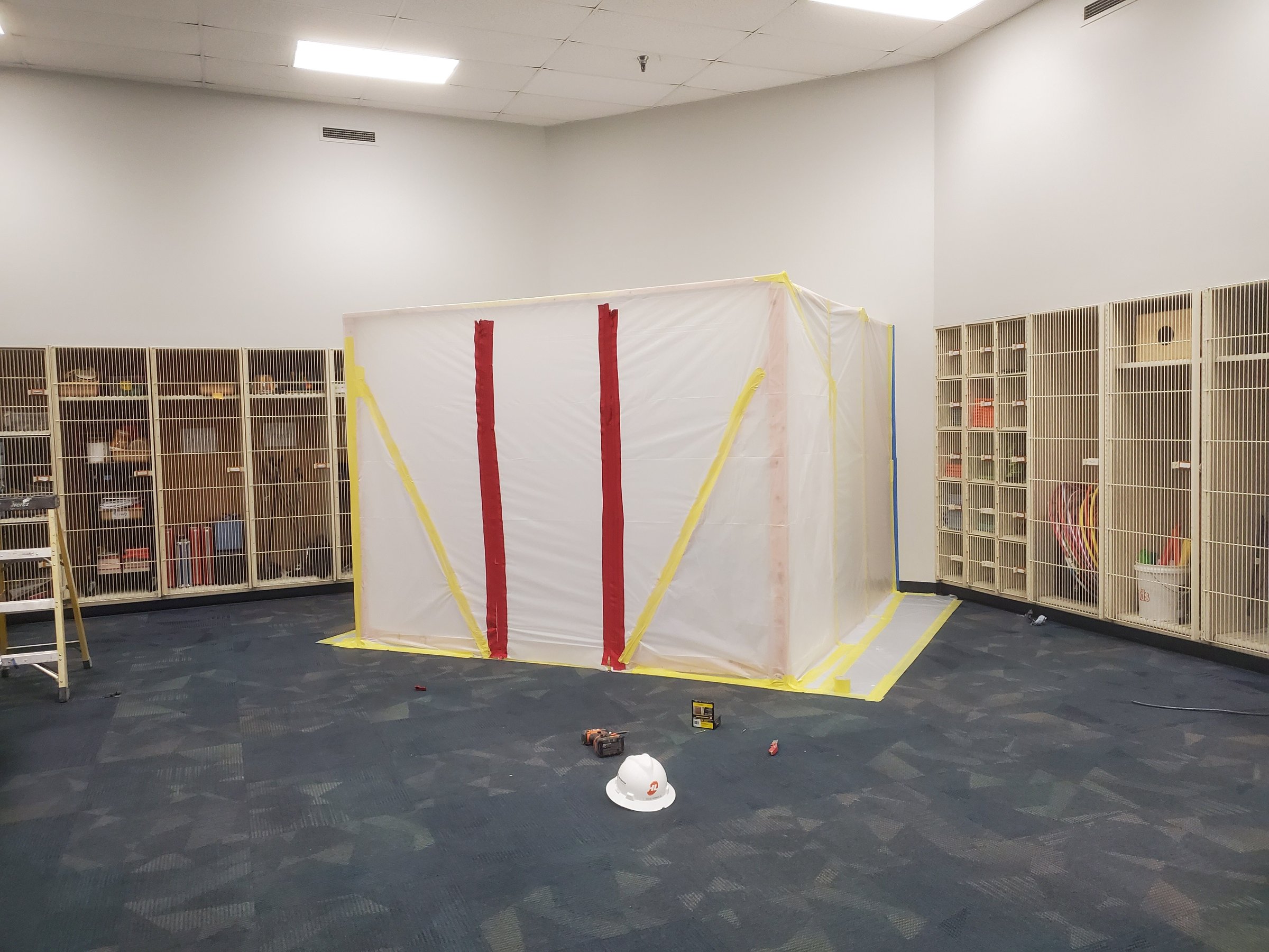 Mold Signs, Symptoms, Remediation & Water Damage Prevention | Occu-Tec